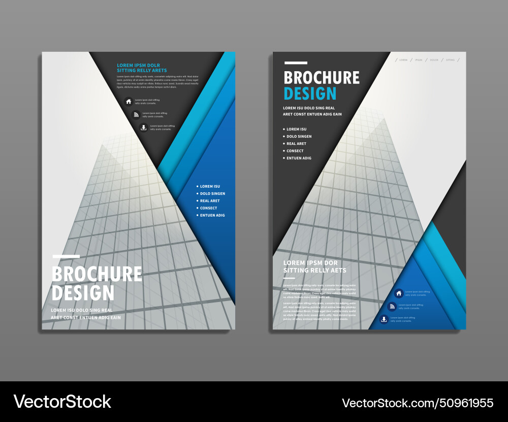 Modern flyer design Royalty Free Vector Image - VectorStock