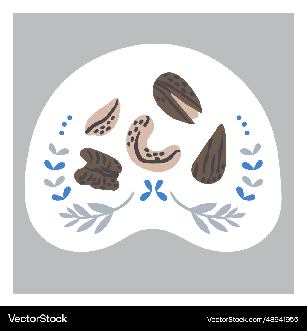 Ornamented seeds color doodle Royalty Free Vector Image