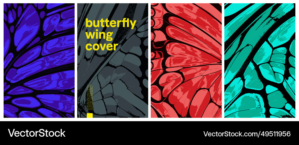 Butterfly wing abstract pattern collection Vector Image