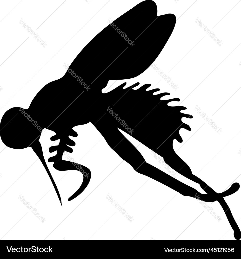Mosquito silhouette Royalty Free Vector Image - VectorStock