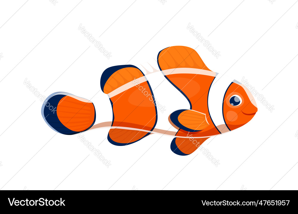 Colorful Clownfish - Tropical Fish Royalty Free Vector Image