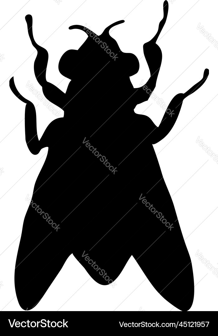 Fly silhouette Royalty Free Vector Image - VectorStock