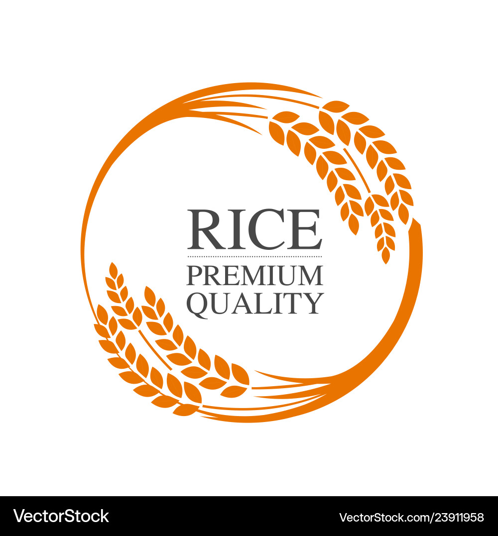 Premium rice great quality design concept Vector Image