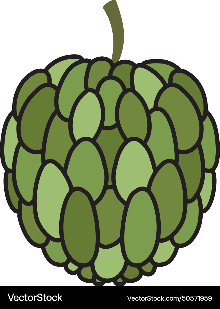 Colored anon fruit icon Royalty Free Vector Image