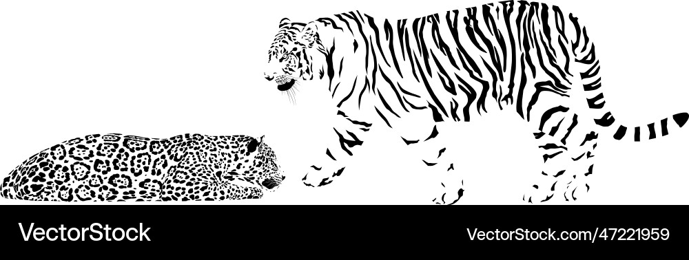 Tiger and leopard Royalty Free Vector Image - VectorStock