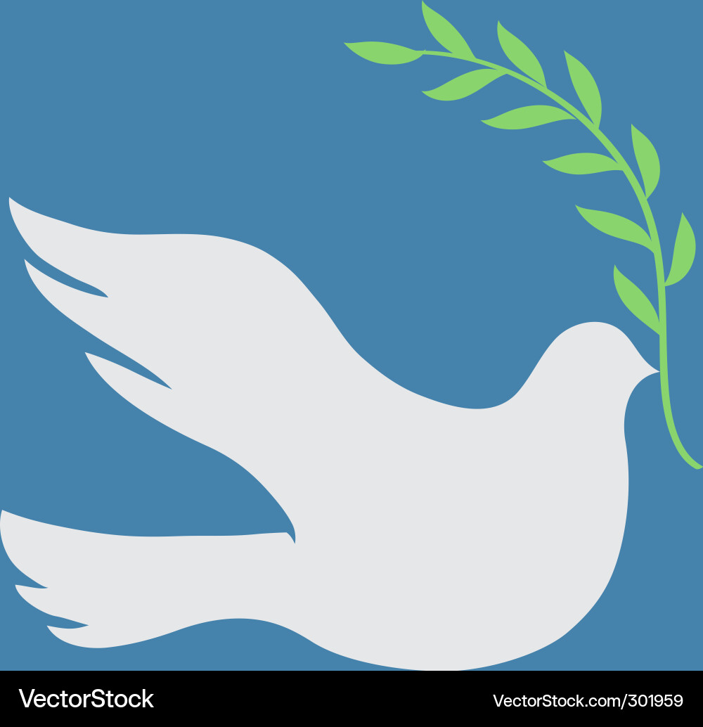 White dove Royalty Free Vector Image - VectorStock