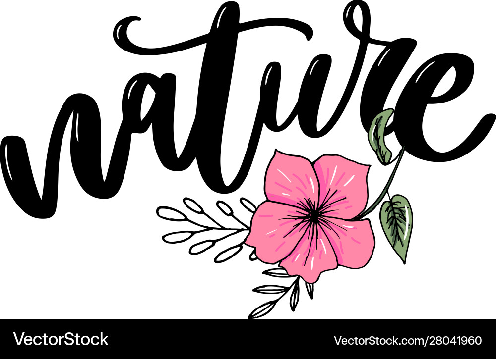 Natural product sticker - handwritten modern Vector Image