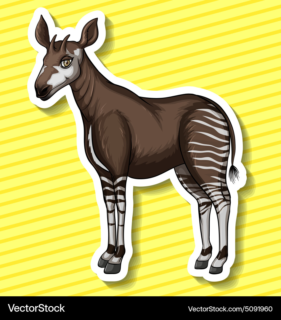 Okapi Royalty Free Vector Image - VectorStock