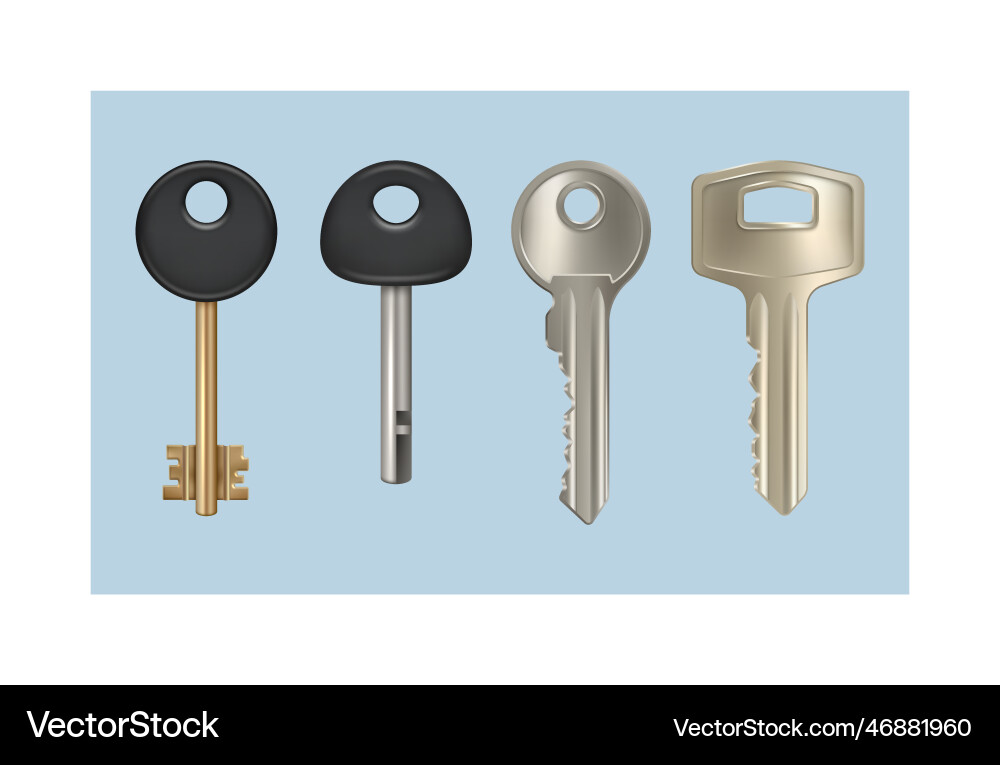 Realistic key metallic for home door locks Vector Image