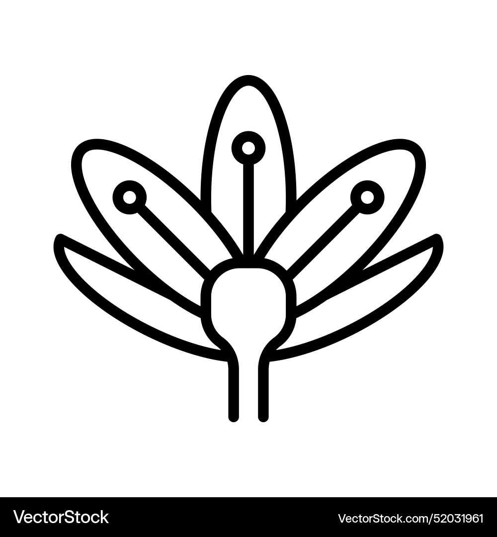 Crocus linear logo mark in black and white Vector Image