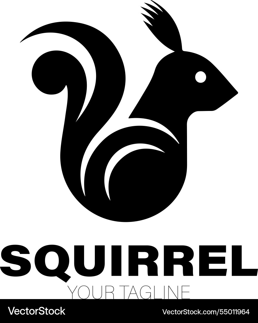 Squirrel logo squirrel logo design squirrel logo Vector Image
