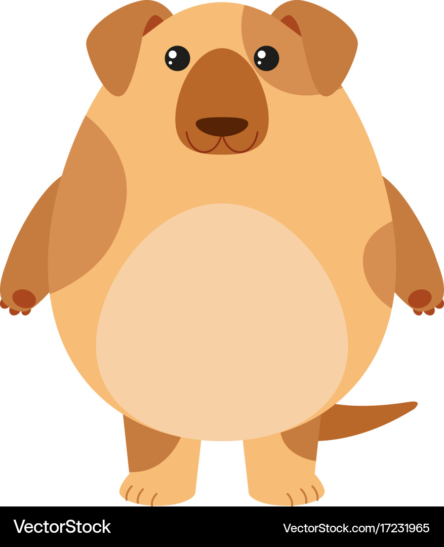 Brown dog on white background Royalty Free Vector Image