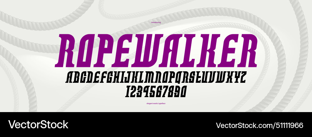 Elegant luxury serif strong font for logos Vector Image