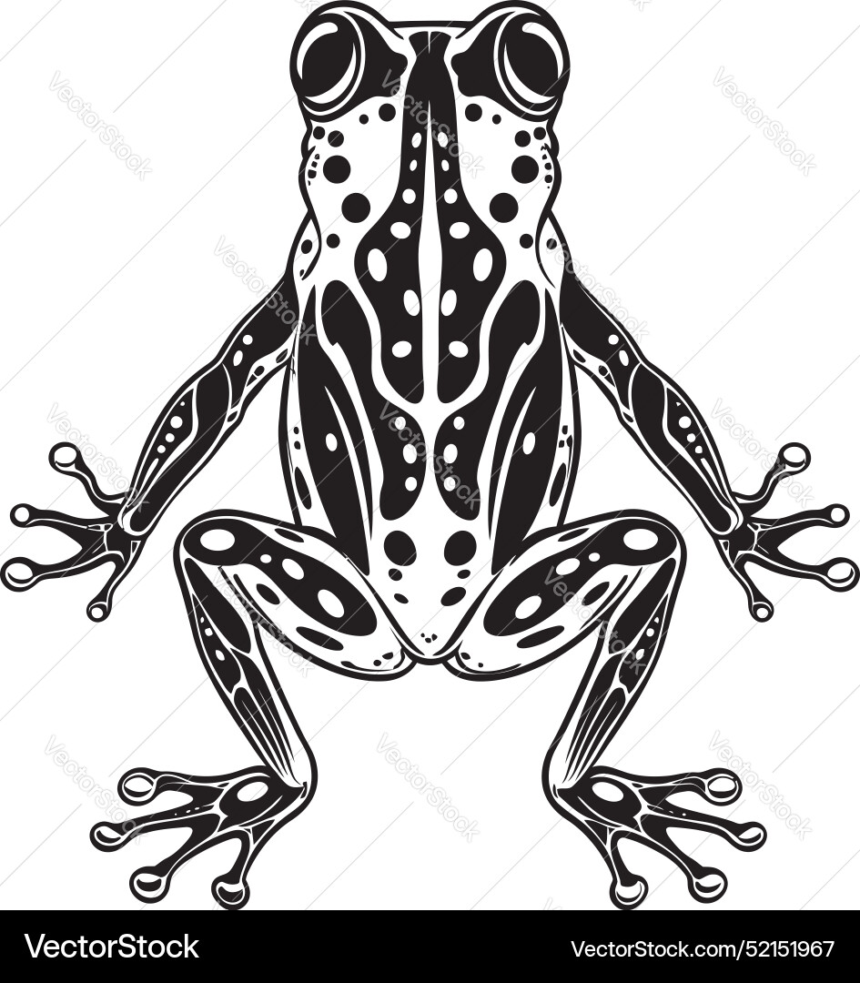 Spectral symphony frog skeleton logo emblem Vector Image