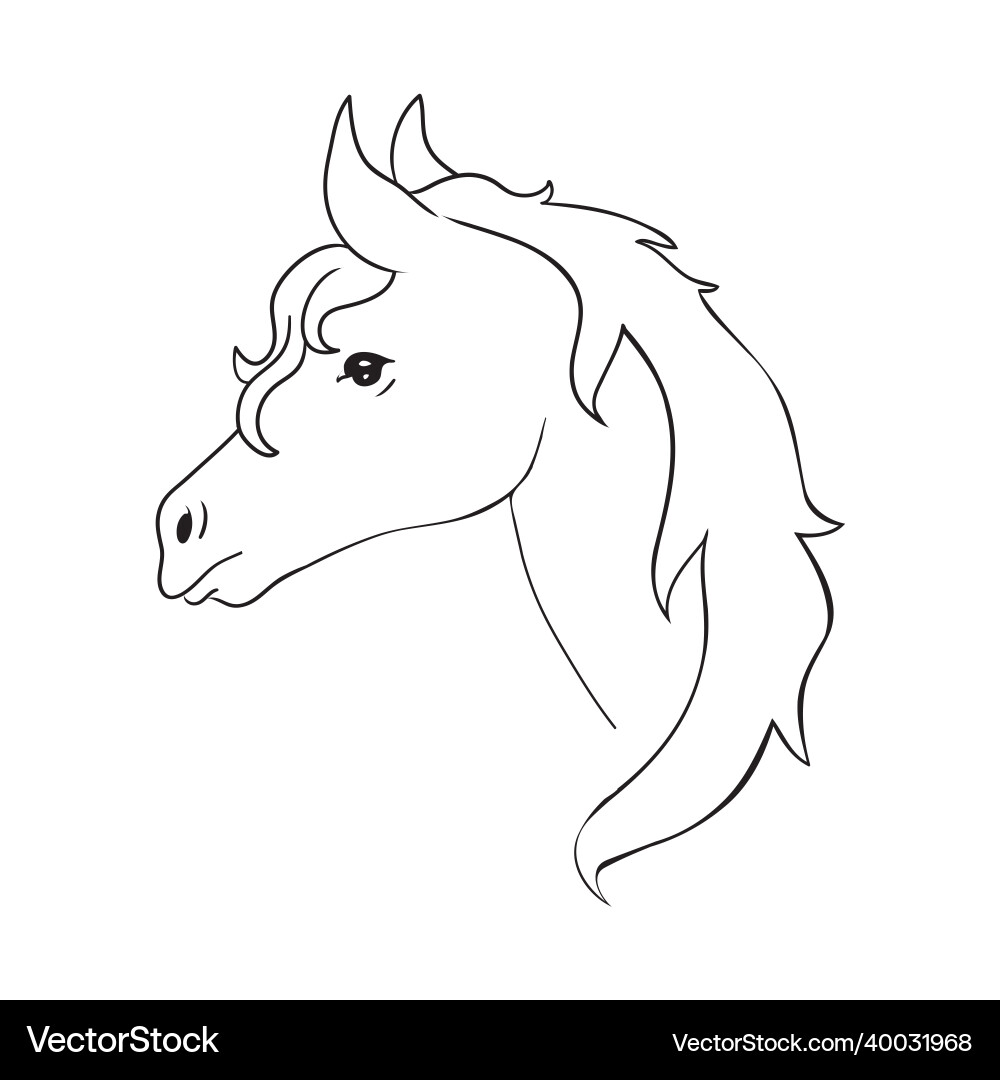 Realistic horse portrait Royalty Free Vector Image