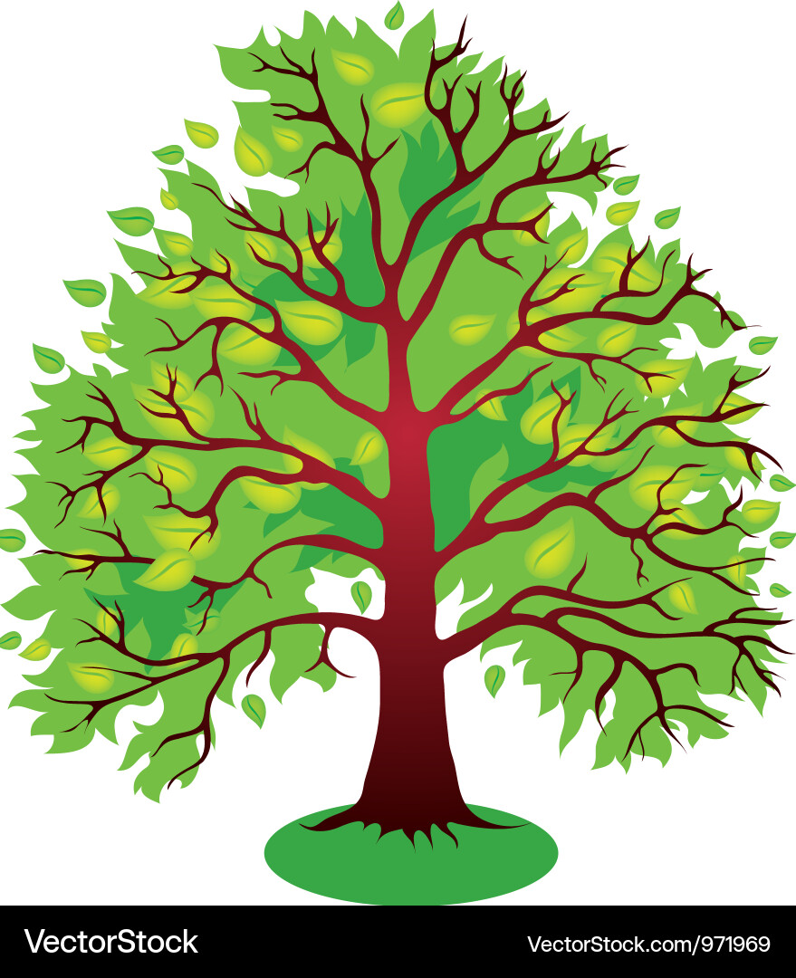 Green tree Royalty Free Vector Image - VectorStock