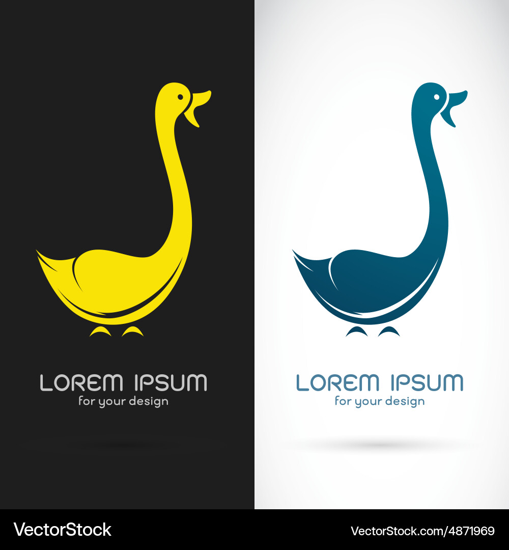 Swan Royalty Free Vector Image - VectorStock