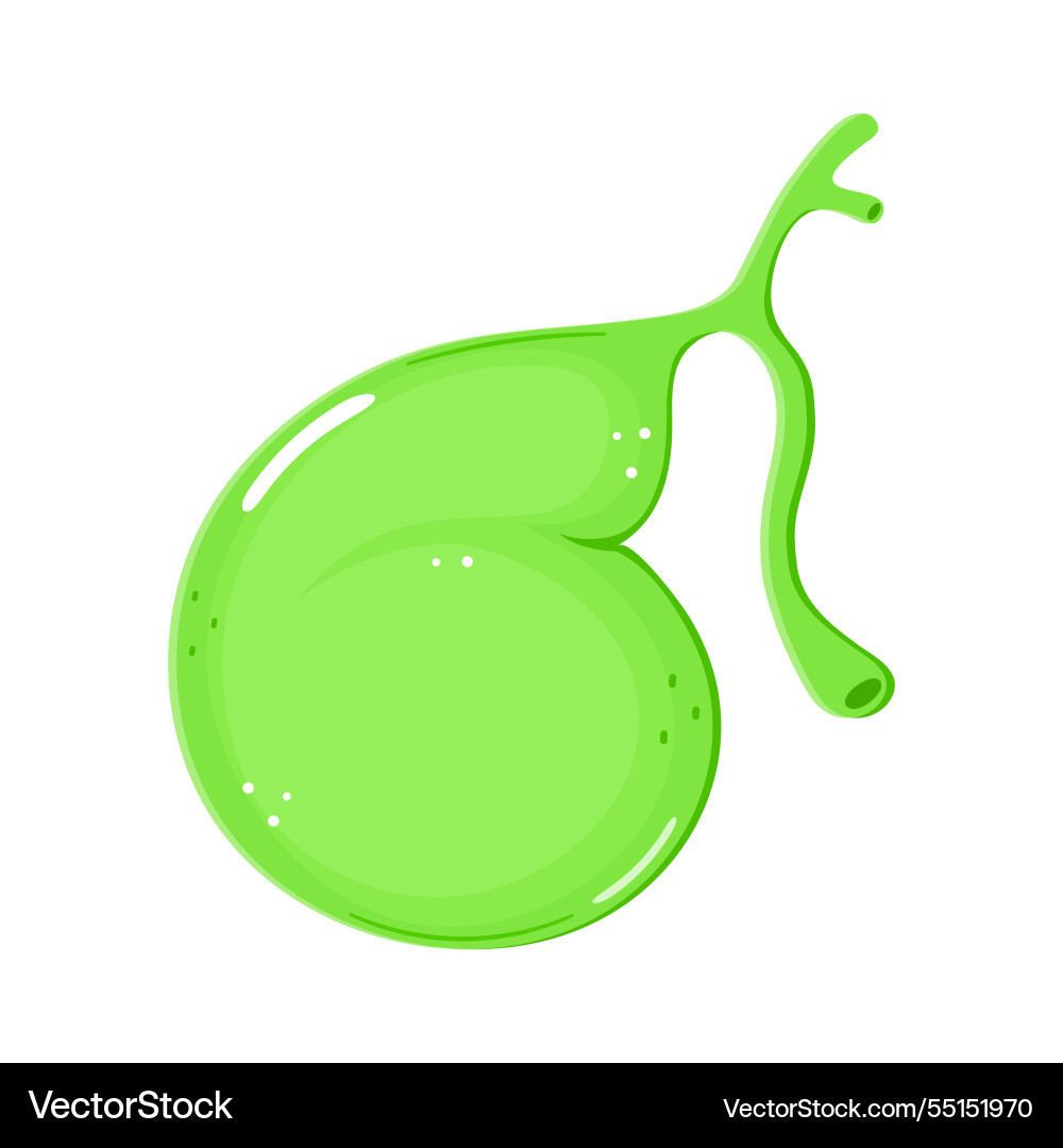 Gallbladder hand drawn cartoon kawaii Royalty Free Vector