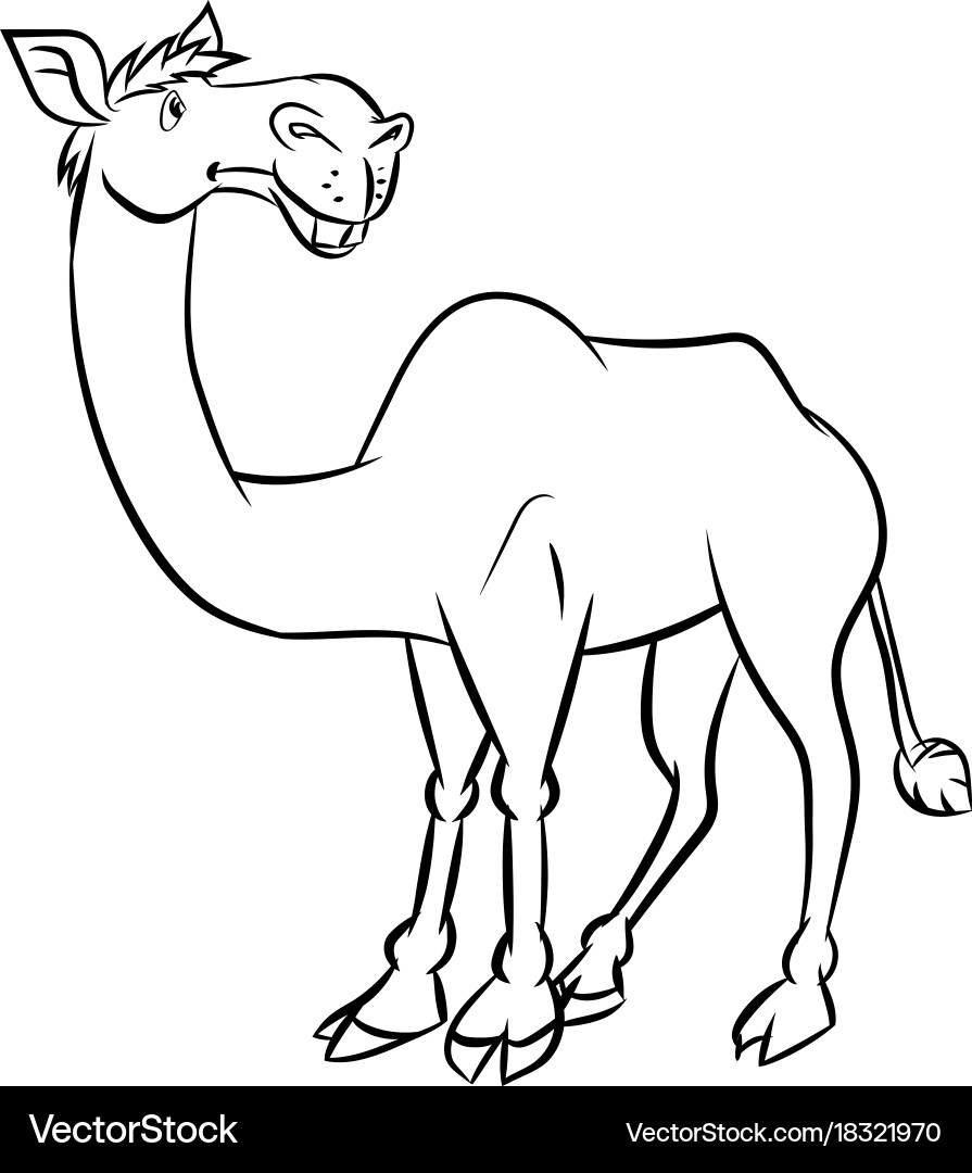 Line drawing a camel Royalty Free Vector Image
