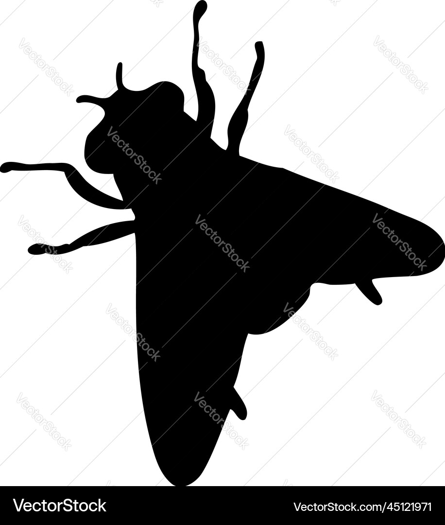 Fly silhouette Royalty Free Vector Image - VectorStock