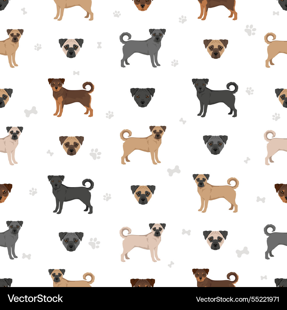 Jug seamless pattern jack russel terrier - pug Vector Image