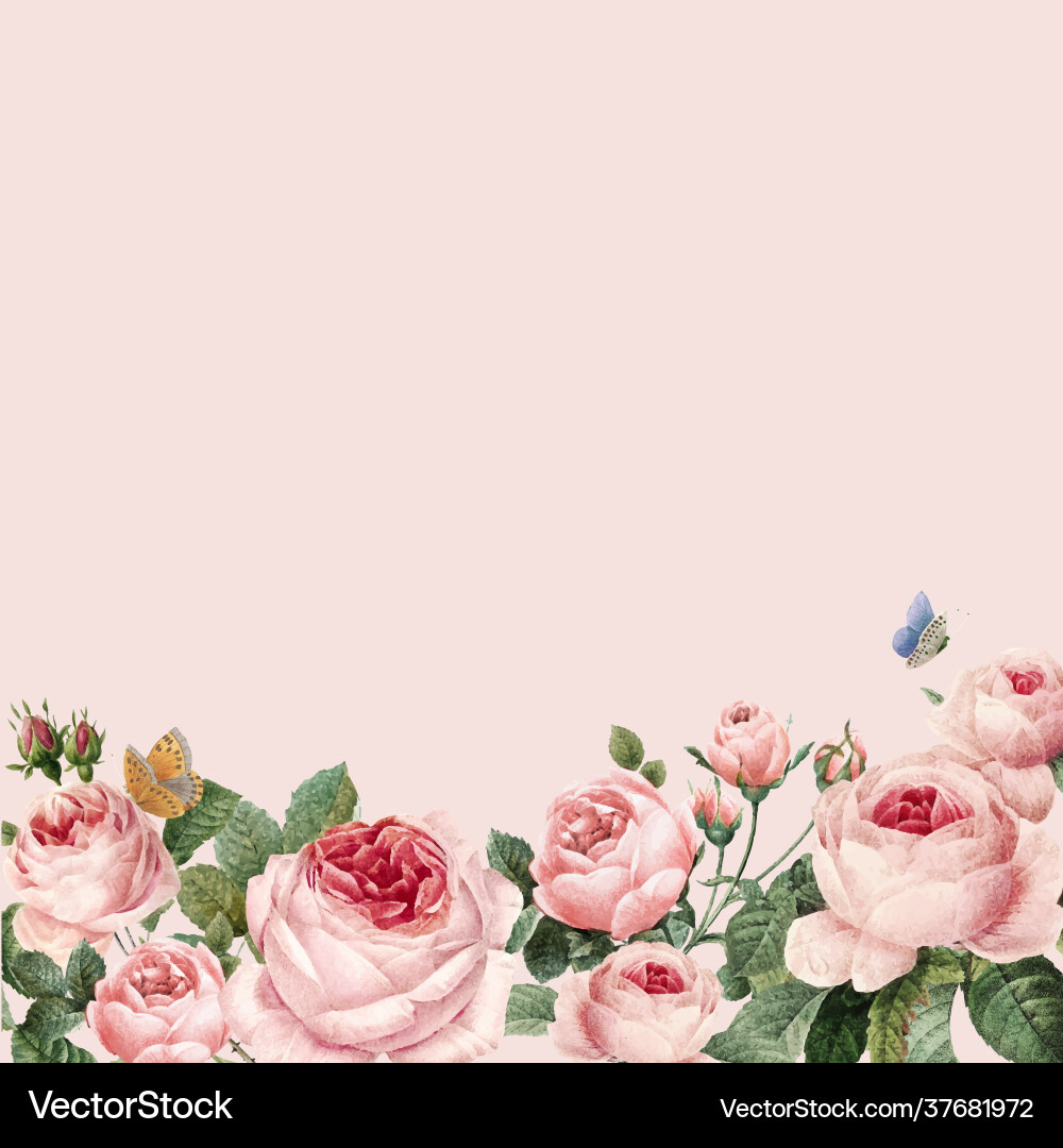 Hand drawn pink roses frame on pastel Royalty Free Vector