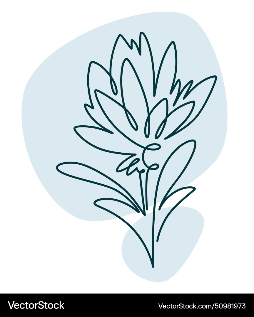 Blooming flower in line art abstract flora design Vector Image