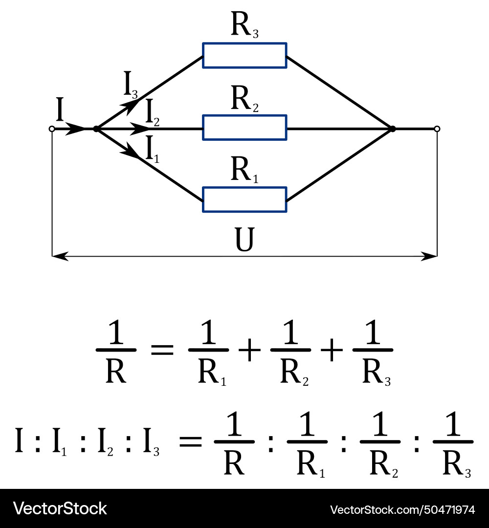 Diagram of parallel connection three resistors Vector Image