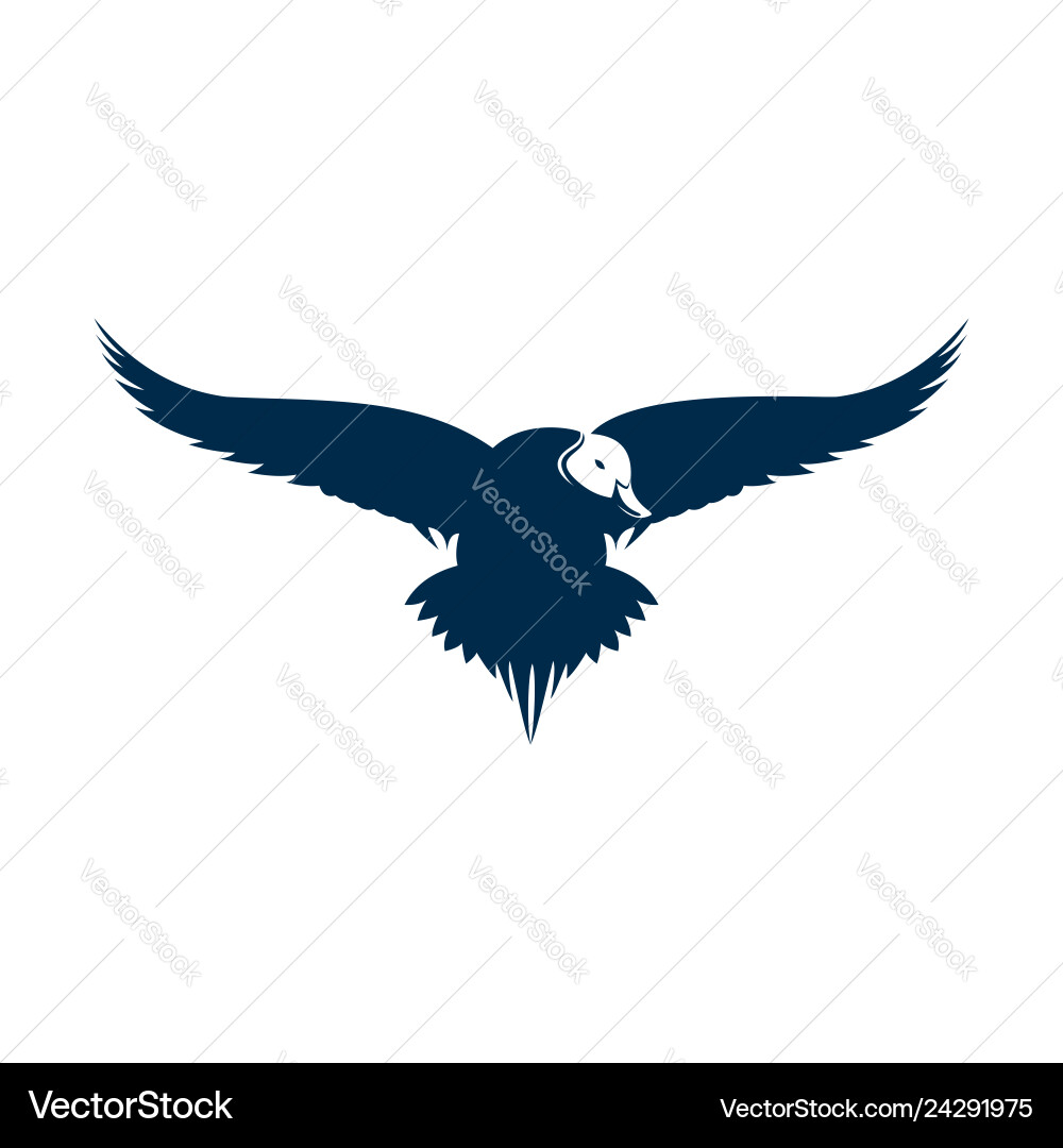 Pintail Duck Vector Images (26)