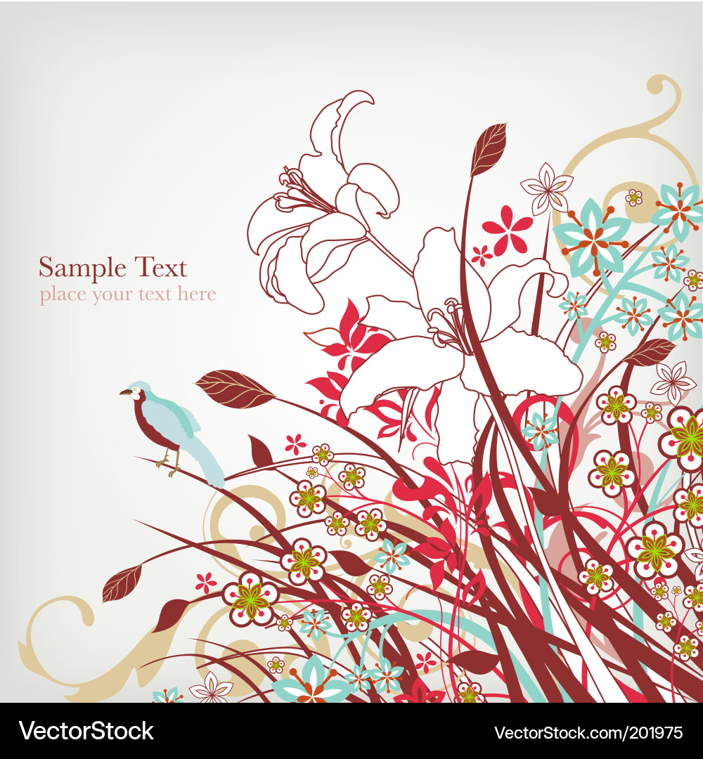 Lily Royalty Free Vector Image - VectorStock