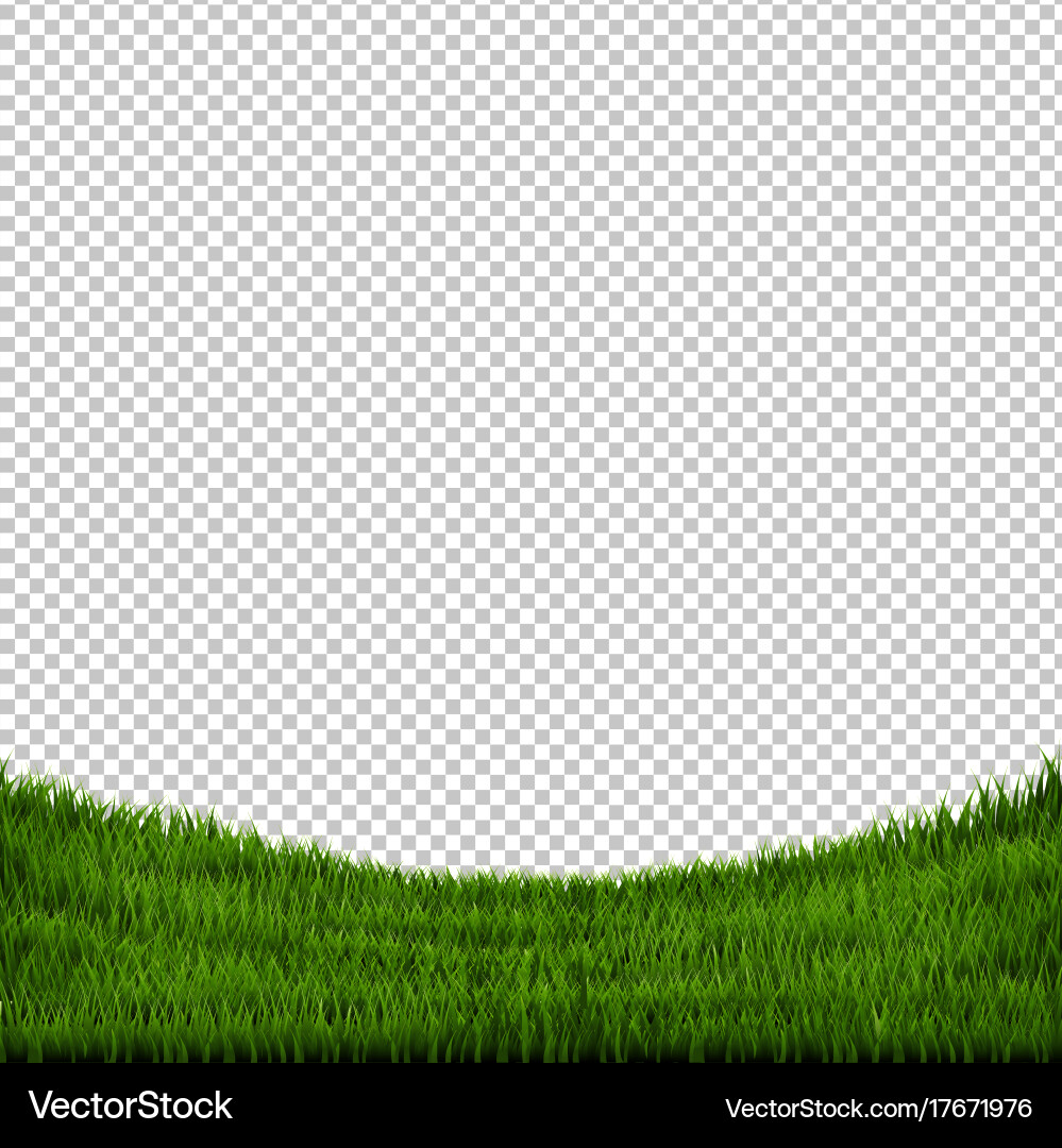 Grass border isolated Royalty Free Vector Image