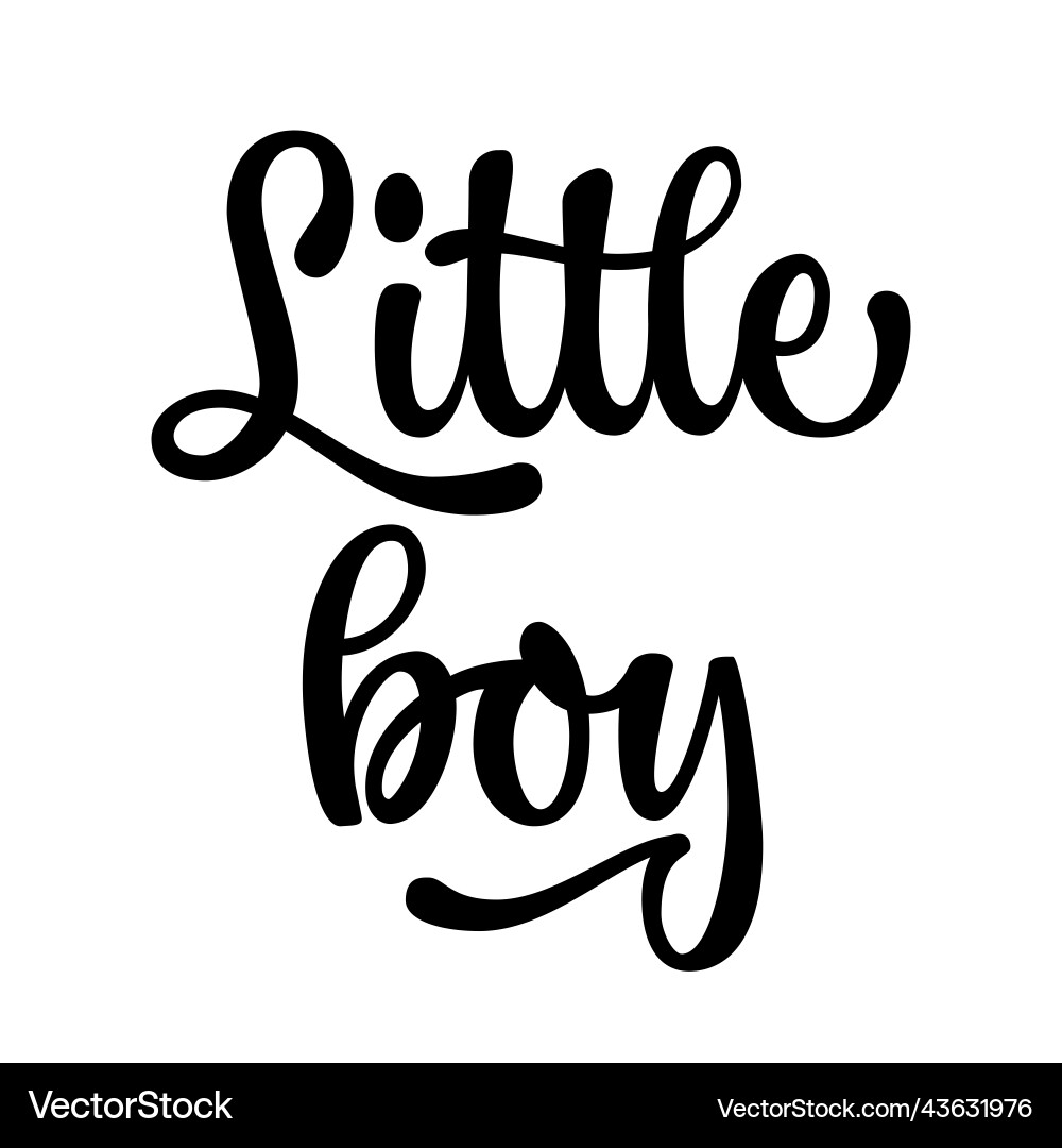 Little boy - cute calligraphy style lettering Vector Image