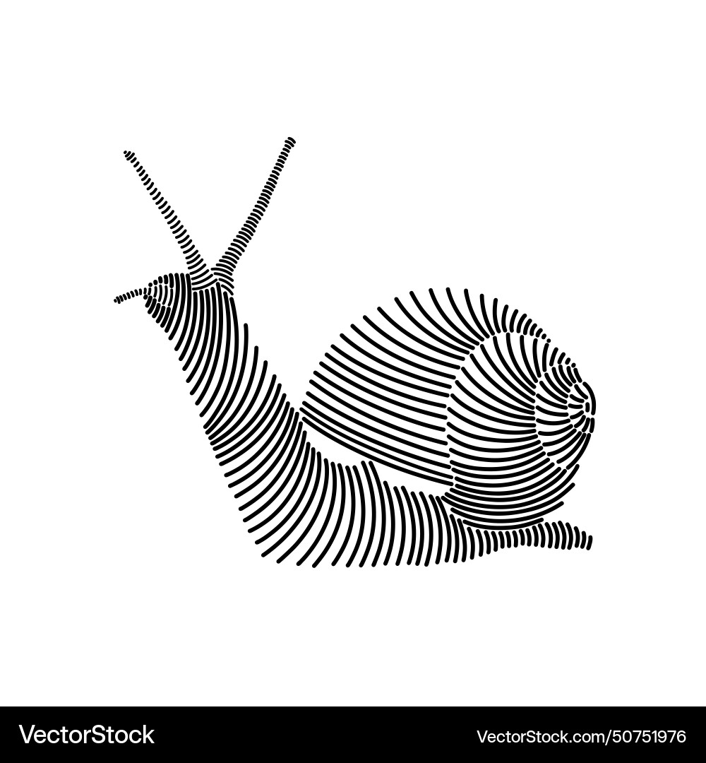 Simple line art of a snail 2 Royalty Free Vector Image
