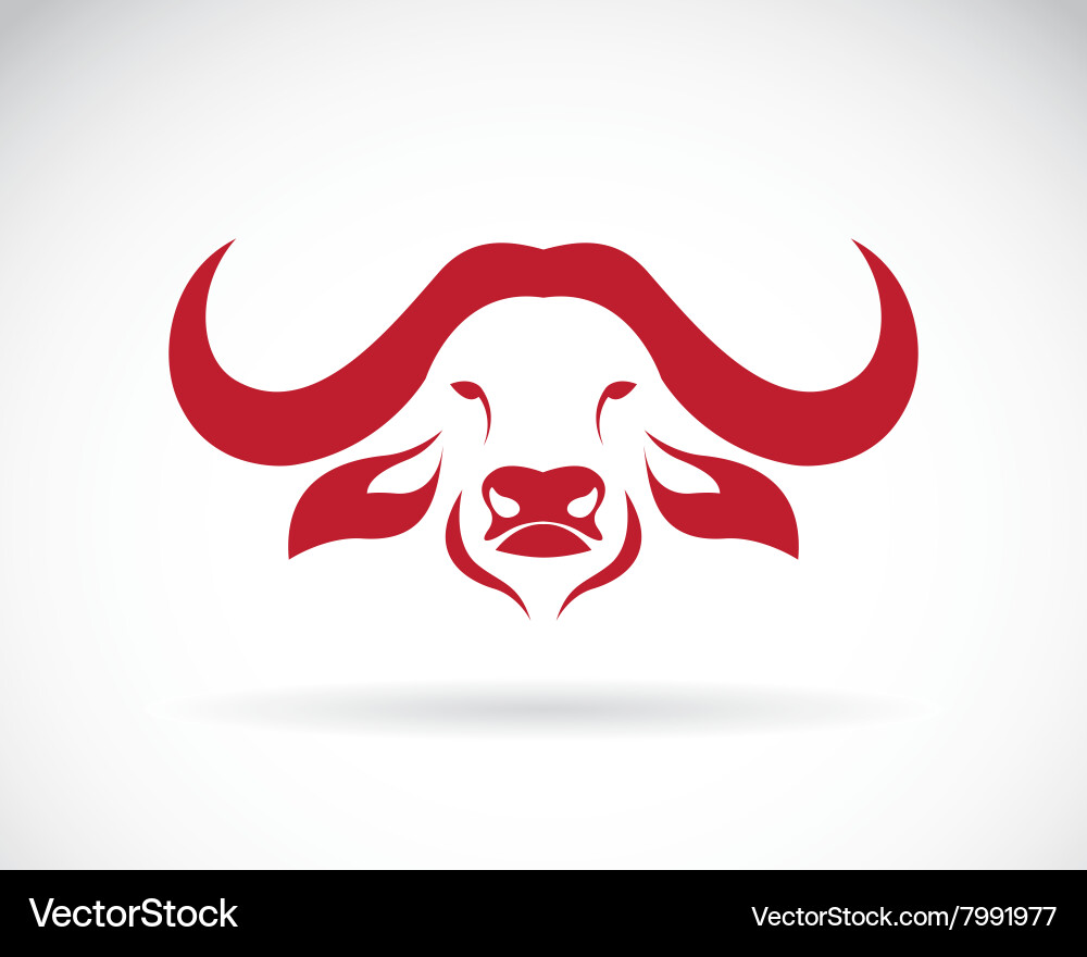 Buffalo Royalty Free Vector Image - VectorStock