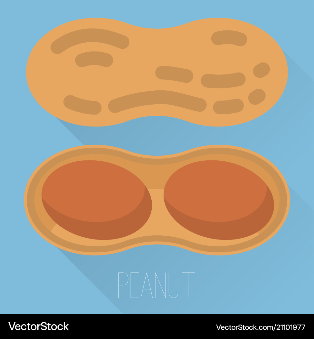 Peanut icon Royalty Free Vector Image - VectorStock