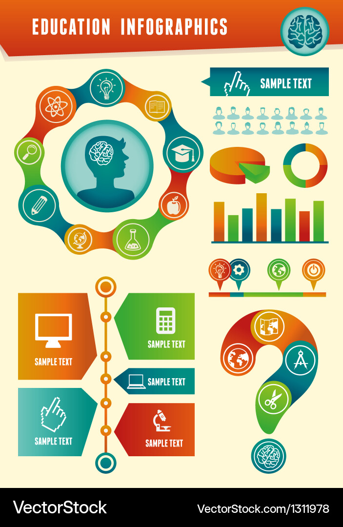 Education infographics Royalty Free Vector Image