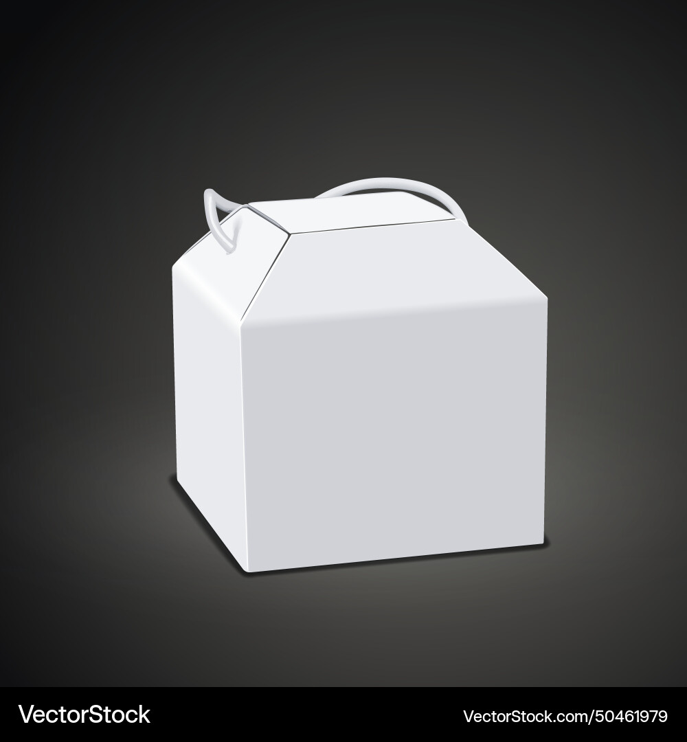 Blank package box with handle Royalty Free Vector Image