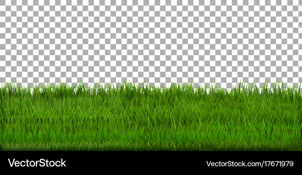 Grass border with isolated background Royalty Free Vector