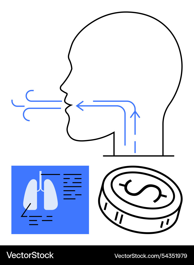 Human breathing process with respiratory system Vector Image