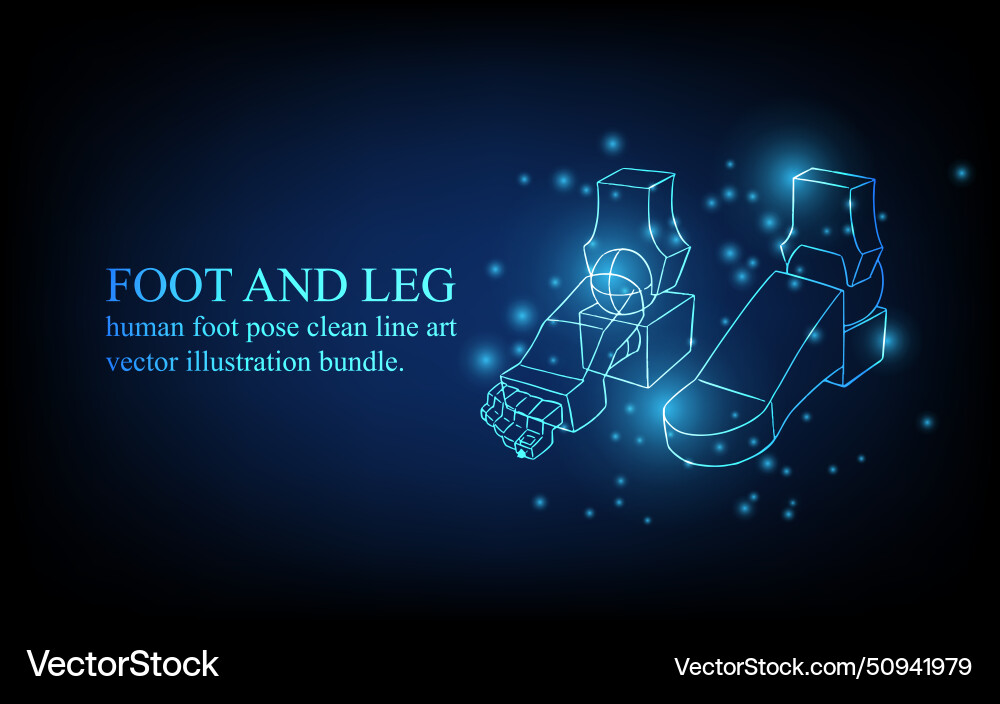 Human foot line and leg knee toe digital Vector Image