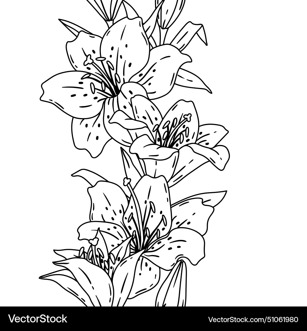 Pattern with lilies flowers beautiful decorative Vector Image