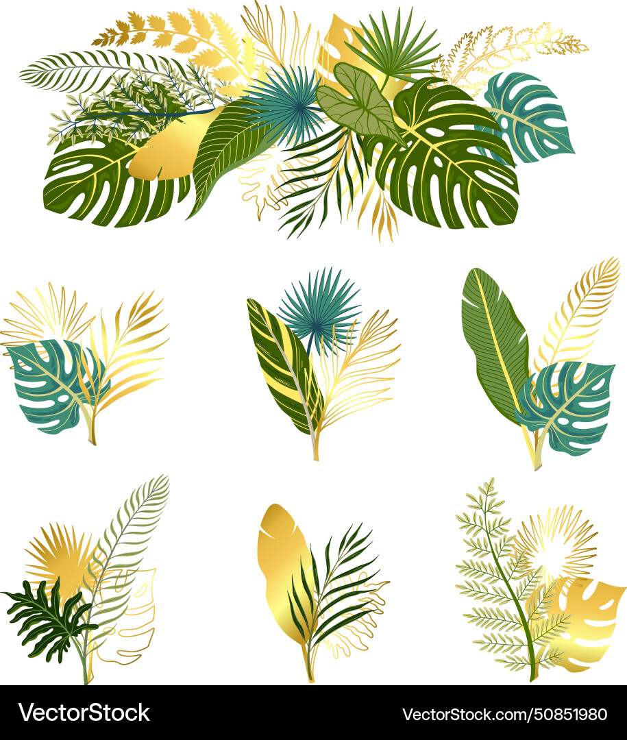 Tropical leaves set Royalty Free Vector Image - VectorStock