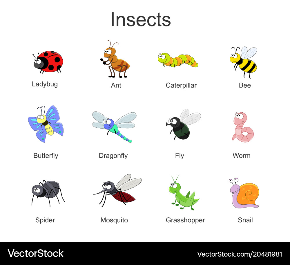 Big set with cute cartoon insects Royalty Free Vector Image