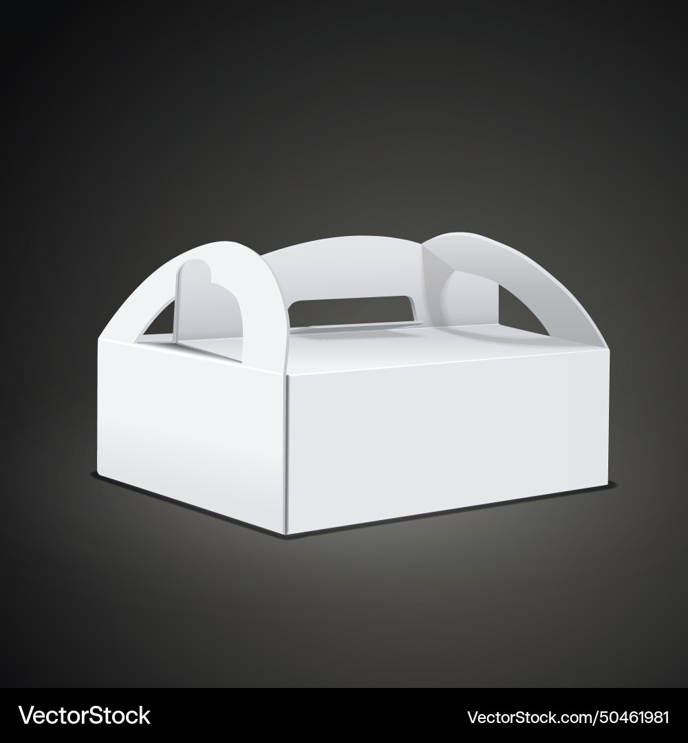 Blank package box with handle Royalty Free Vector Image