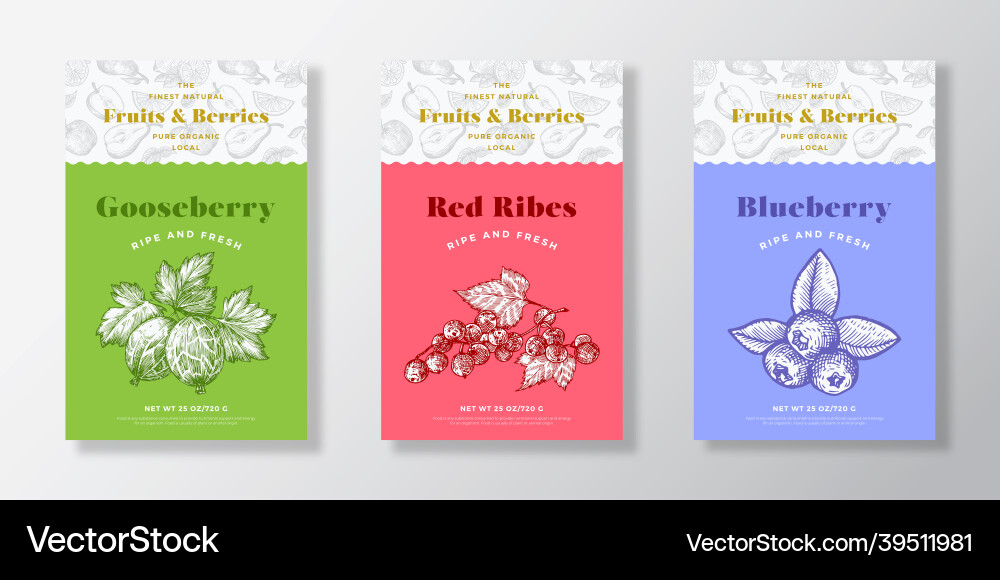 Obst und Beeren Muster Etiketten Vorlagen Set Vektorbild