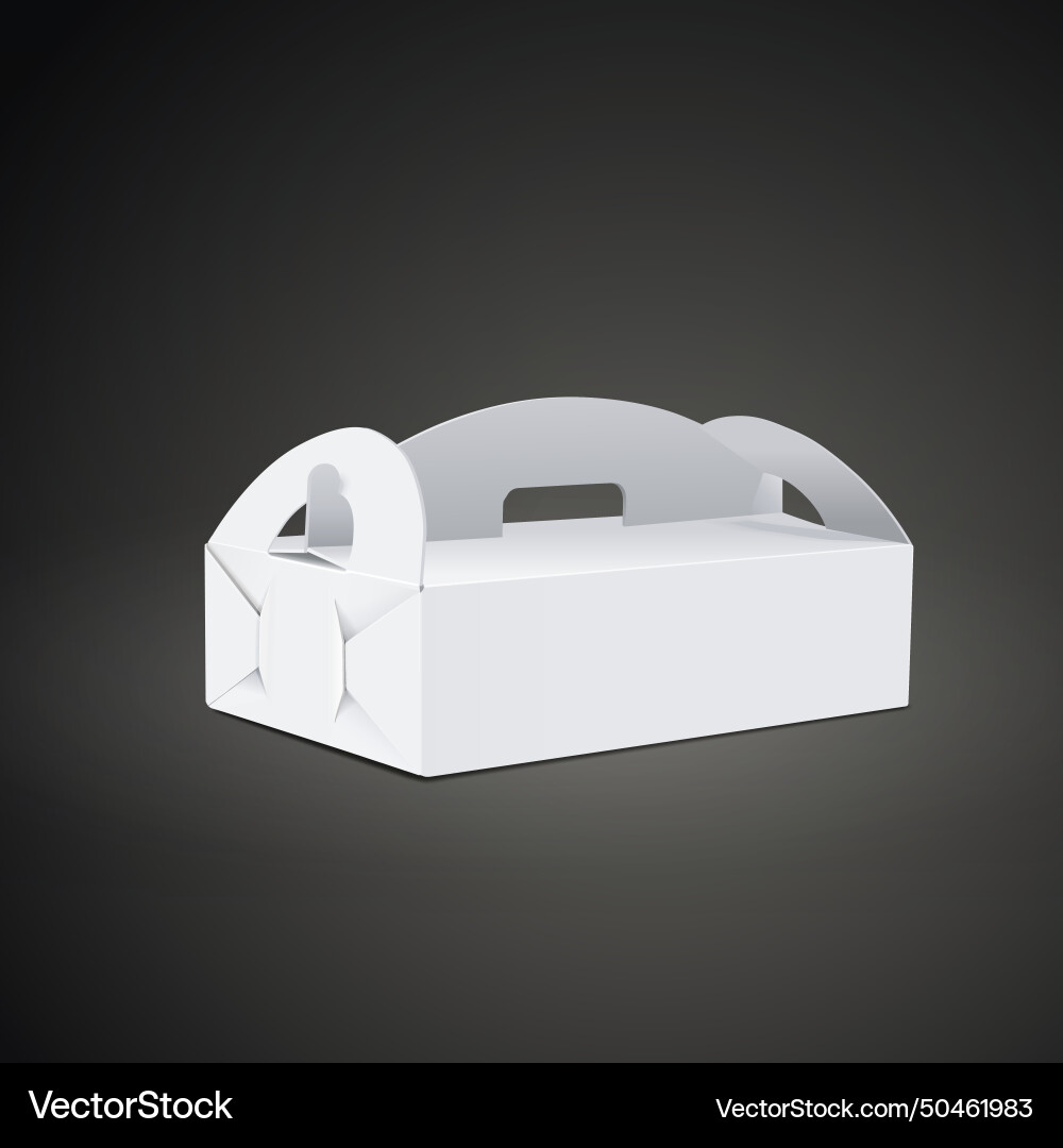 Blank package box with handle Royalty Free Vector Image