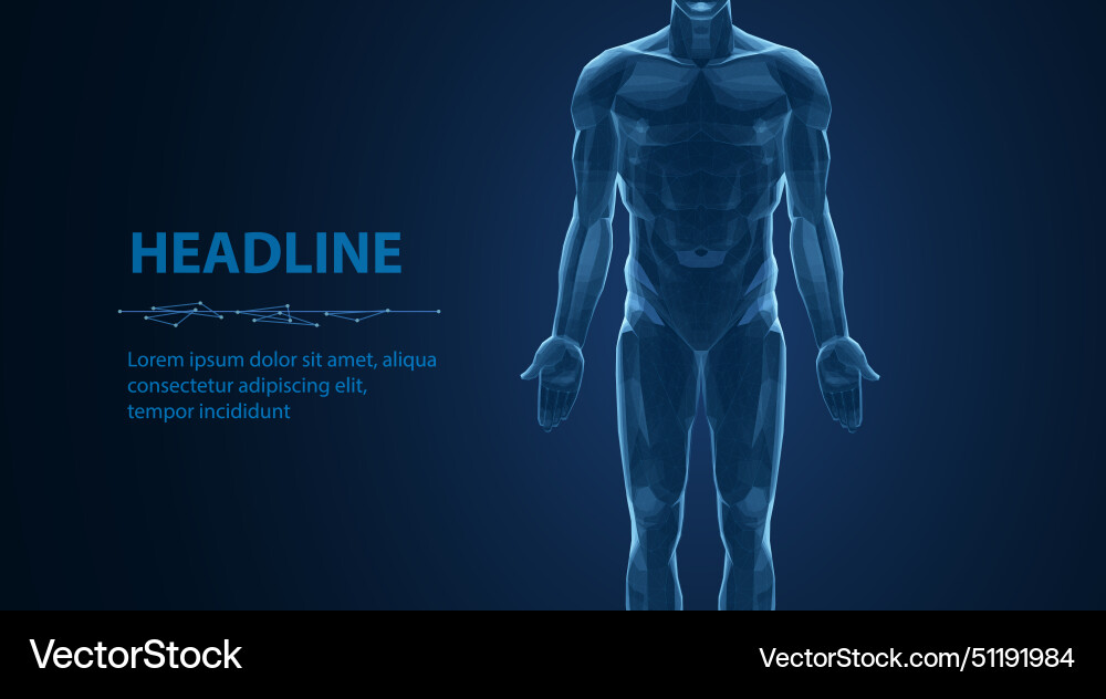 Human body abstract human anatomy Royalty Free Vector Image