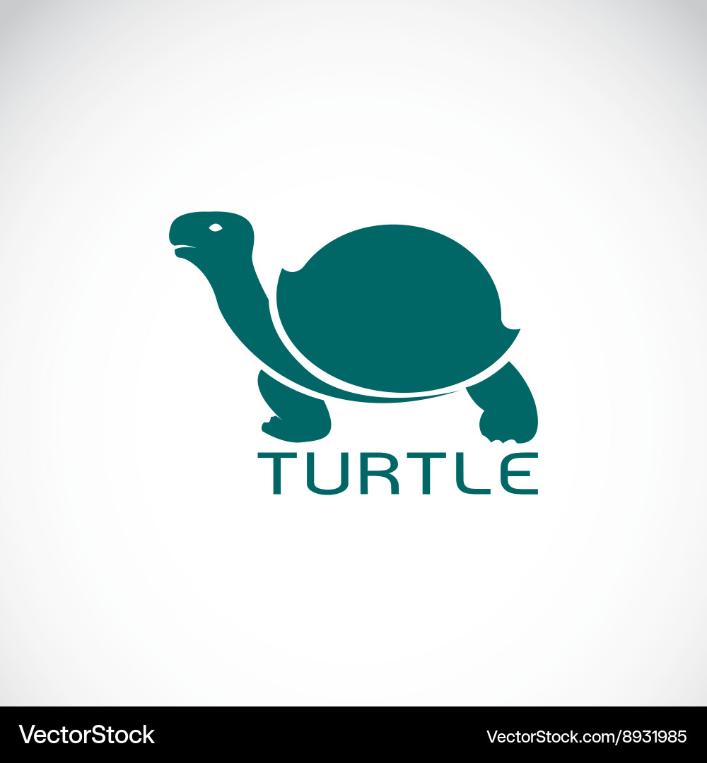Lazy Turtle Vector Images (over 100)