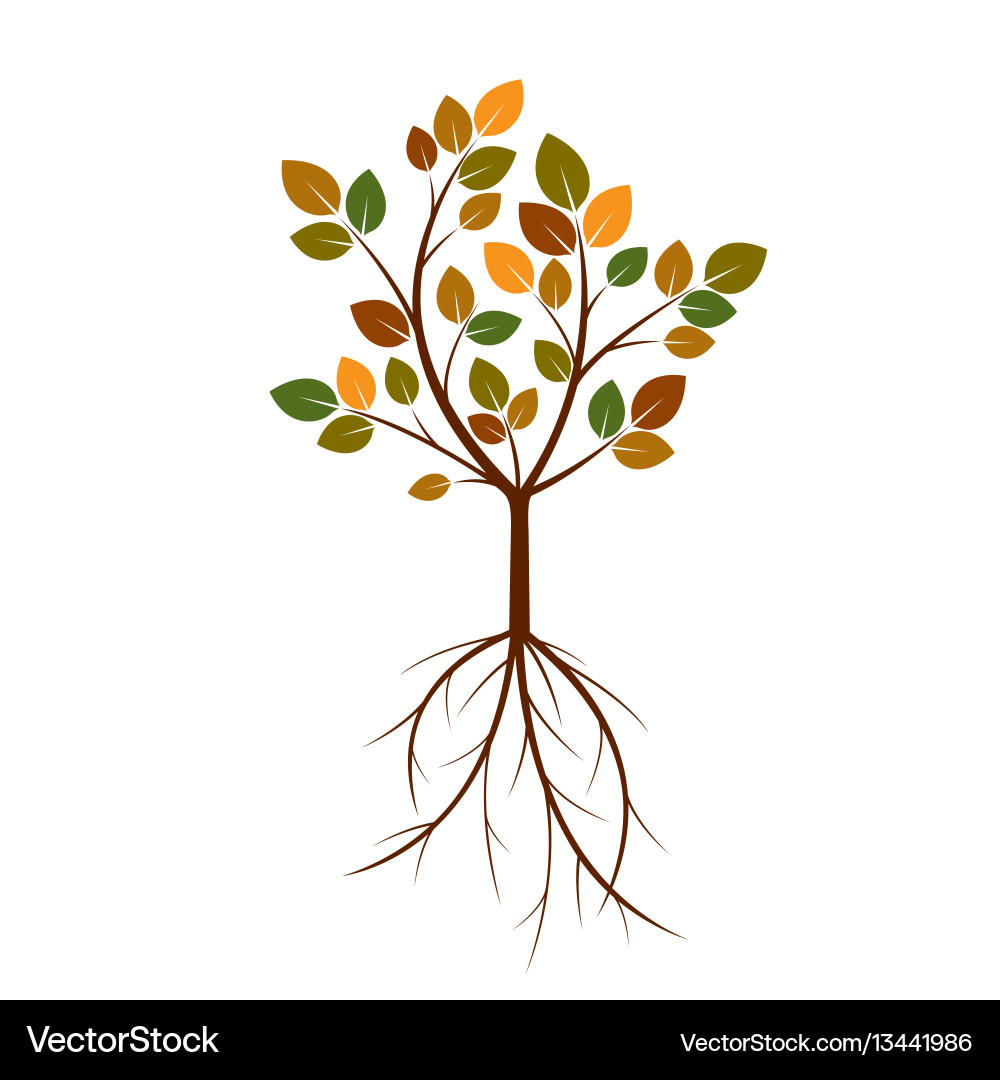 Color tree and roots Royalty Free Vector Image