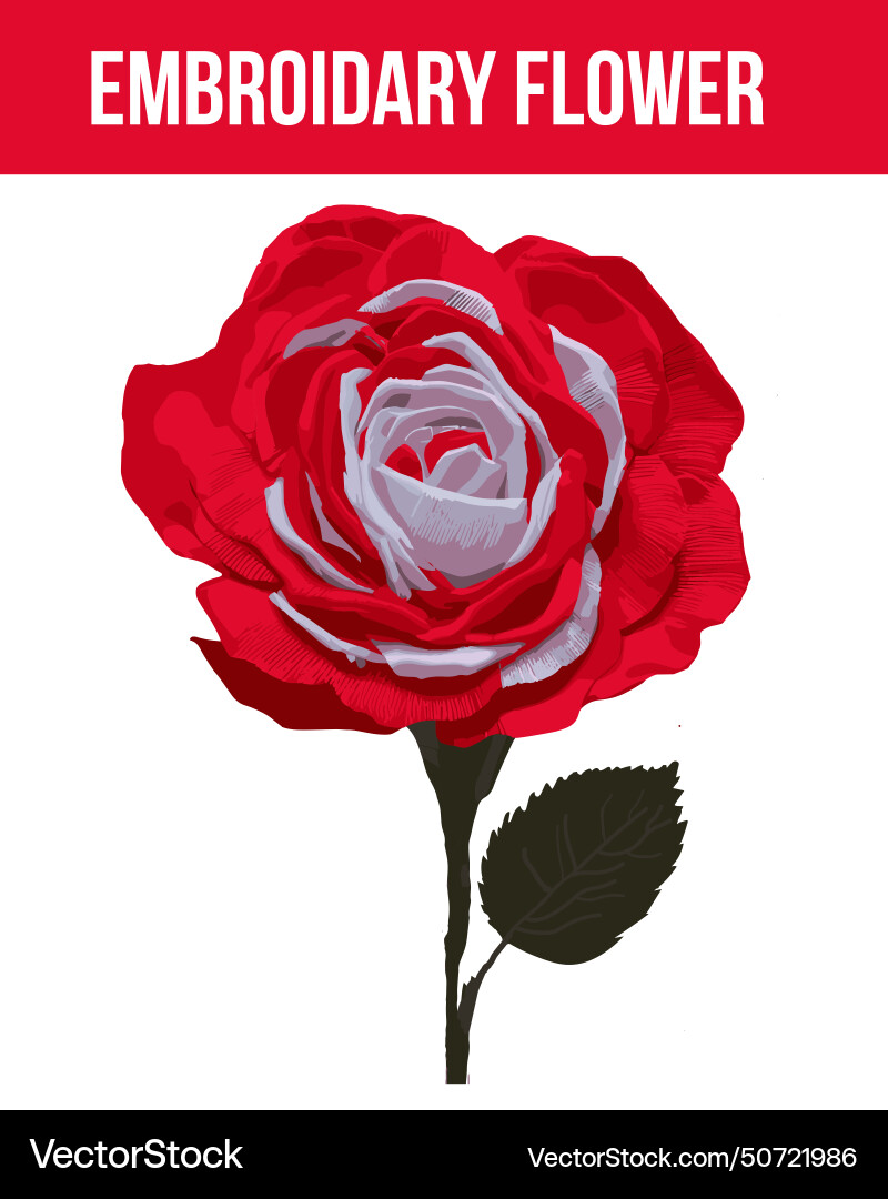 Flower Royalty Free Vector Image - VectorStock